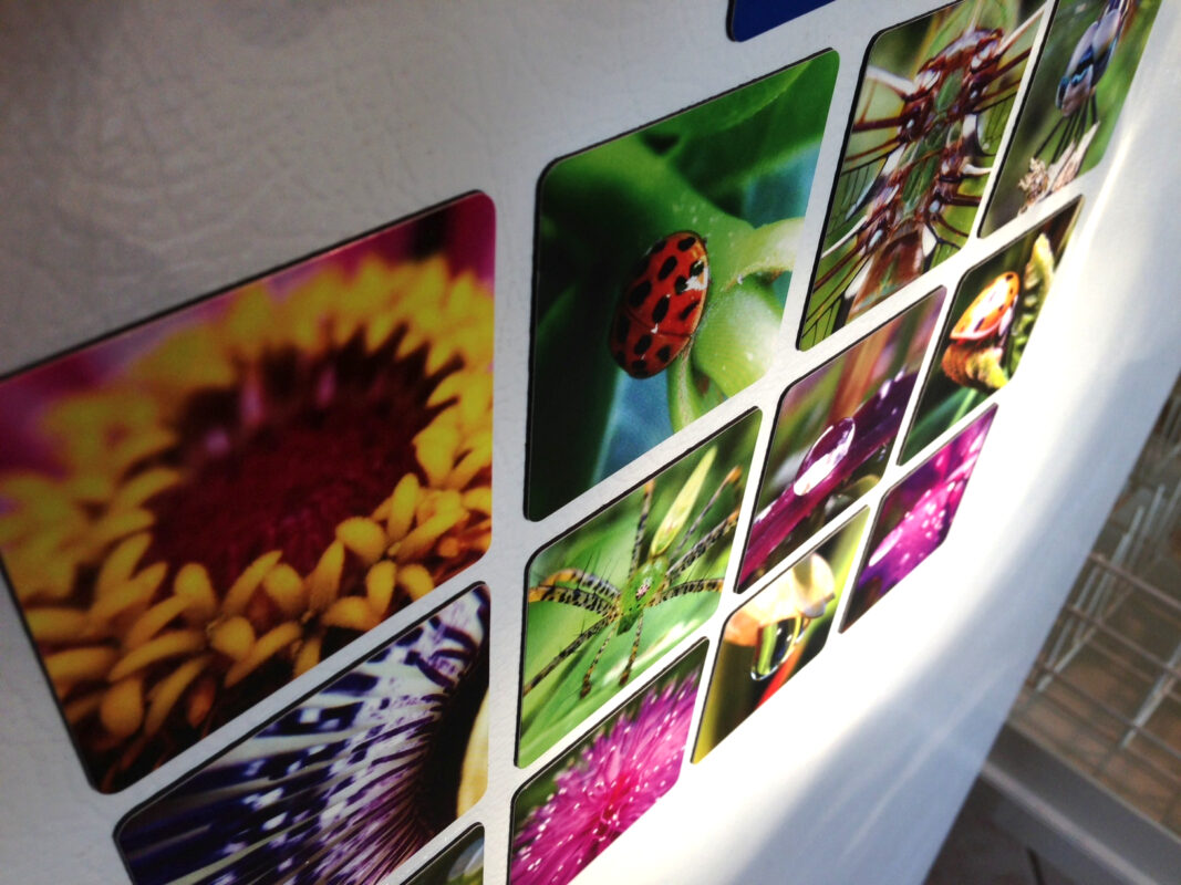 Flyers and Brochures - Seattle Design and Print